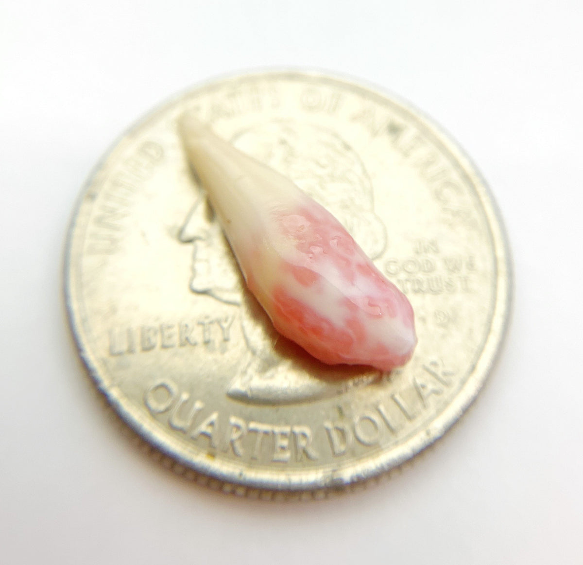 Natural Conch Pearl (1B) – Aloha Pearls & Schwartz