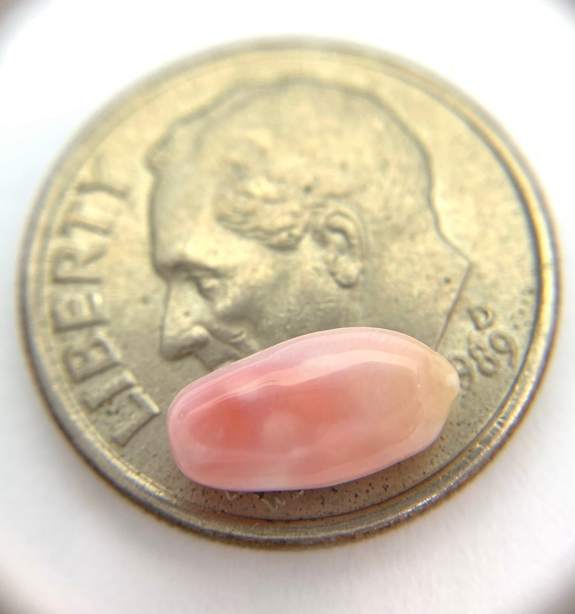Natural Conch Pearl (3B) – Aloha Pearls & Schwartz