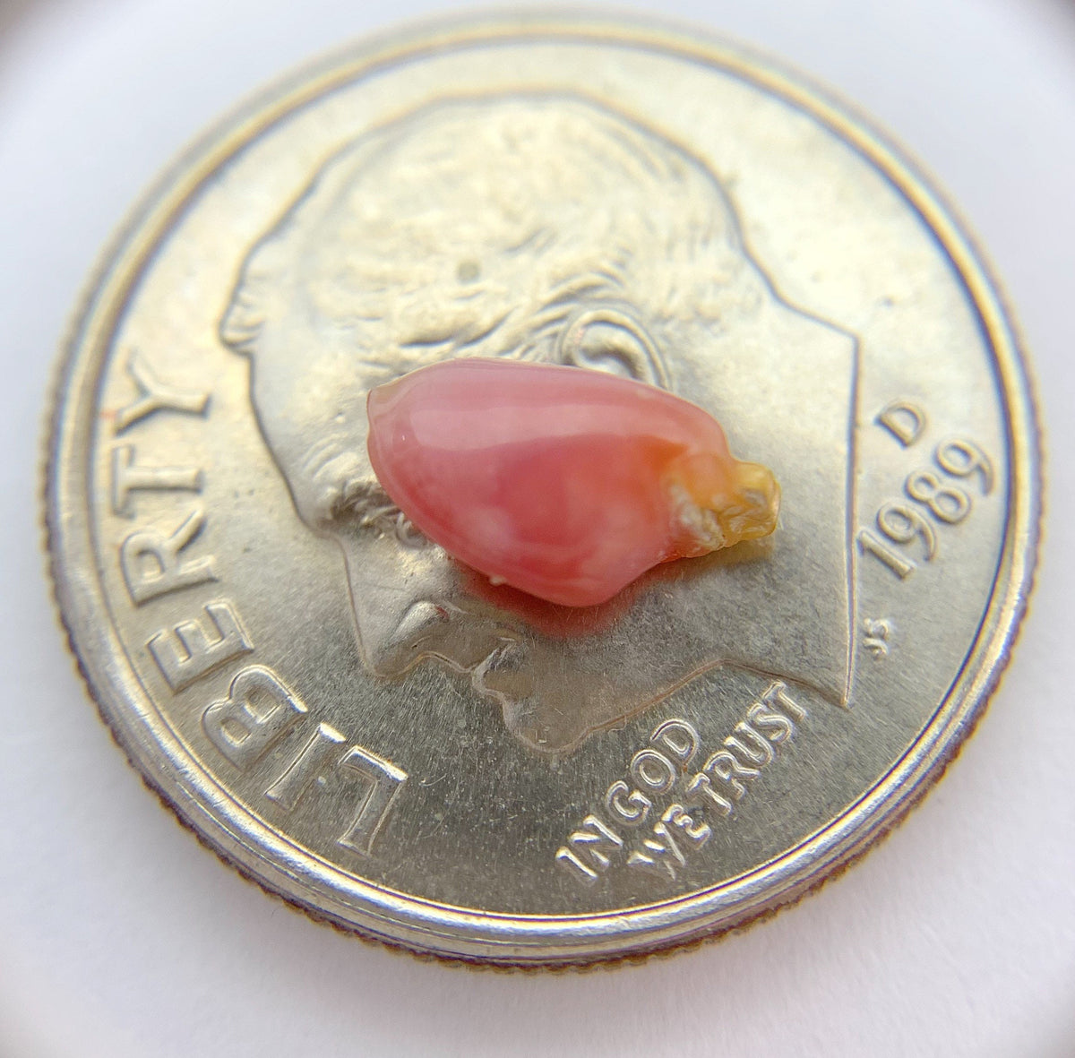 Natural Conch Pearl (4B) – Aloha Pearls & Schwartz