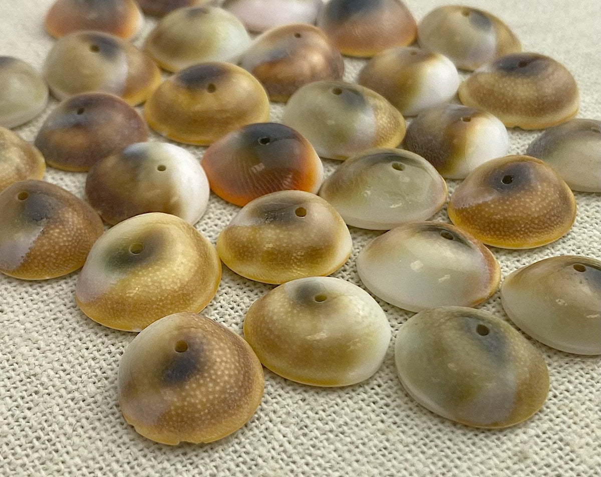 Shiva Eye Shell Bead Sku#M2004 – Aloha Pearls & Schwartz