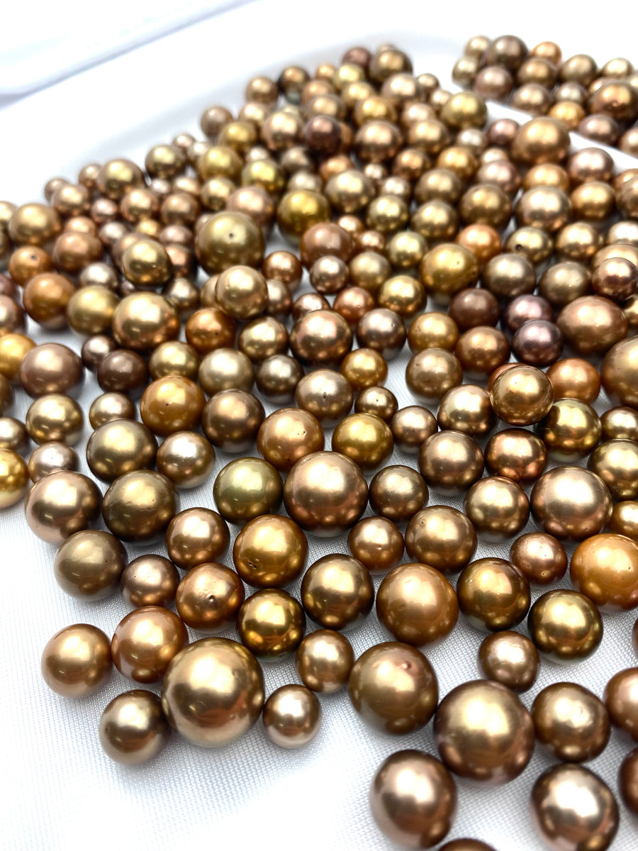 AAA Chocolate Tahiti Pearls – Aloha Pearls & Schwartz