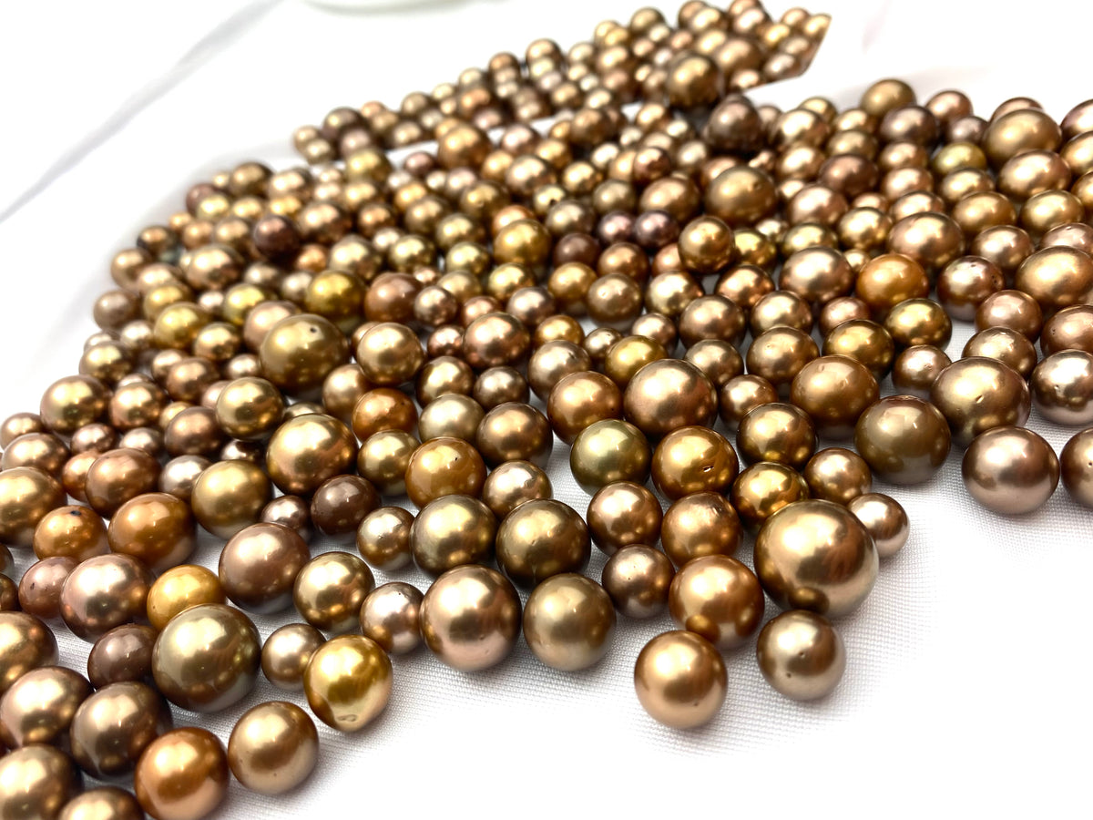 AAA Chocolate Tahiti Pearls – Aloha Pearls & Schwartz