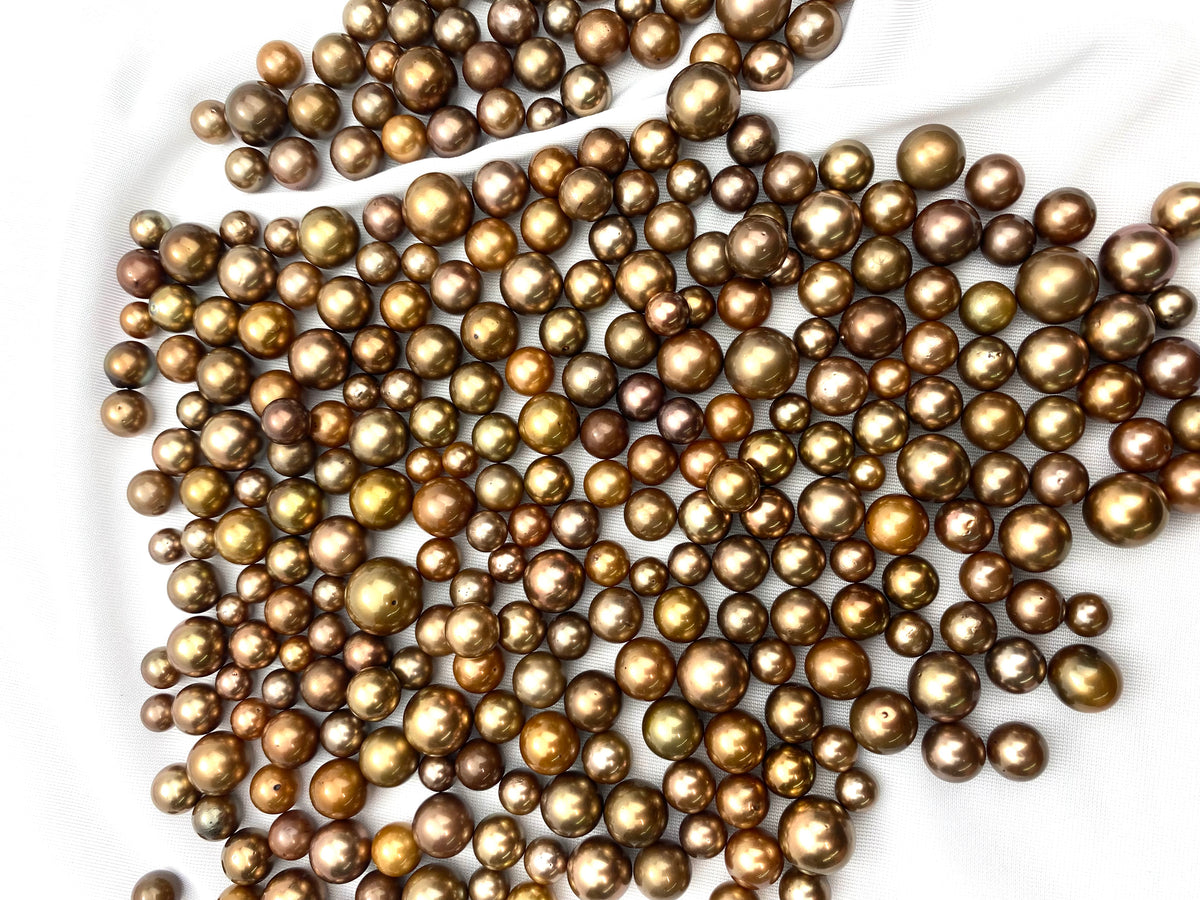 AAA Chocolate Tahiti Pearls – Aloha Pearls & Schwartz